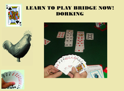 Dorking Bridge Club, Surrey